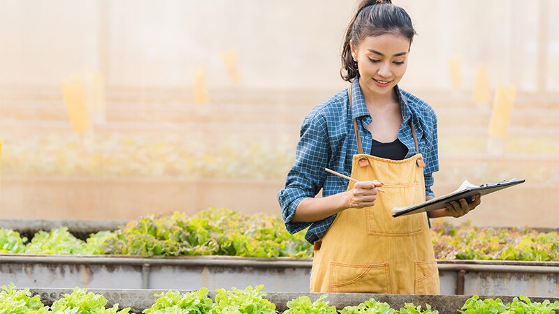 El Flujo de Efectivo Descontado y Cómo Usarlo | Chase for Business | Chase.com