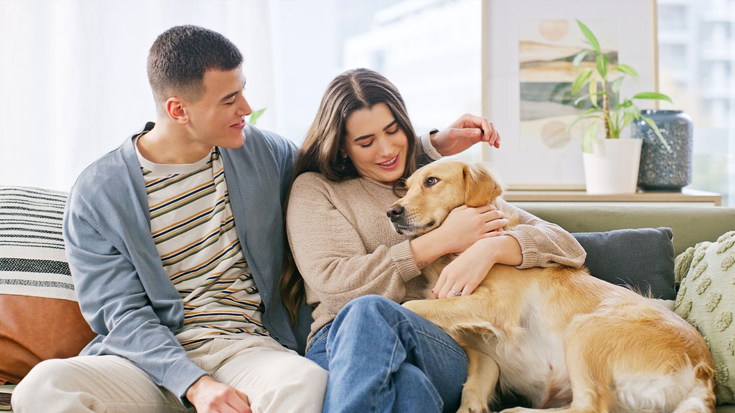 What is an Alienation Clause in Real Estate? | Chase